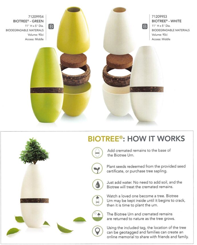 Green BioTree Urn - Lone Star Cremation